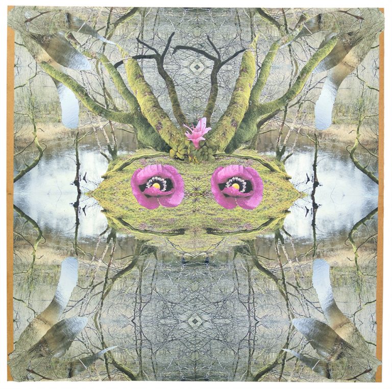 Gallery – Bryony Boughton Art